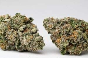 Deep Fried Runtz Strain Review | Green Sativa